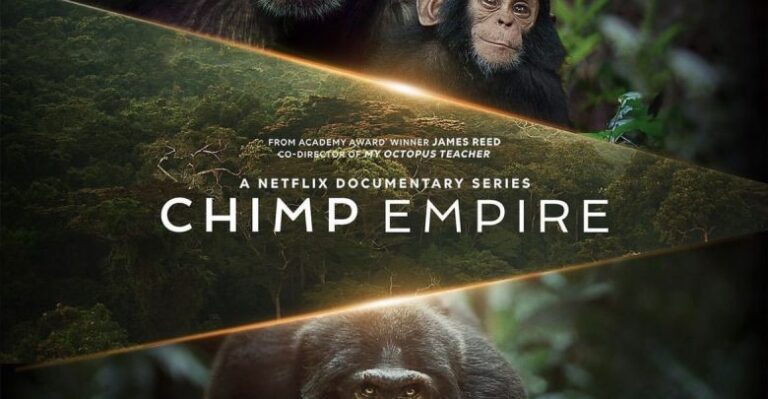 CHIMP EMPIRE: Film shot in Kibale National Park tops US Popular TV ...