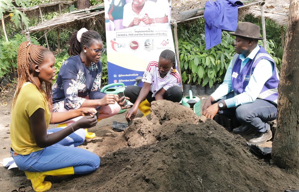 Acora Viola Topics – Daily Express